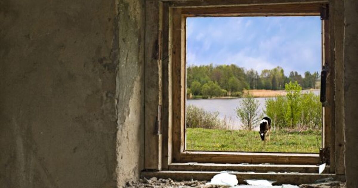 Israel’s Sacrificial System (Leviticus 1-10) | Theology of Work