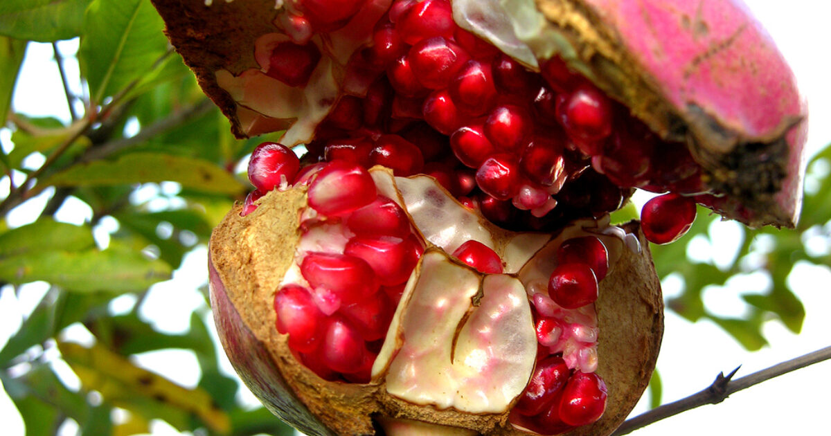 Genesis 3 and the Birth of Sin | Theology of Work