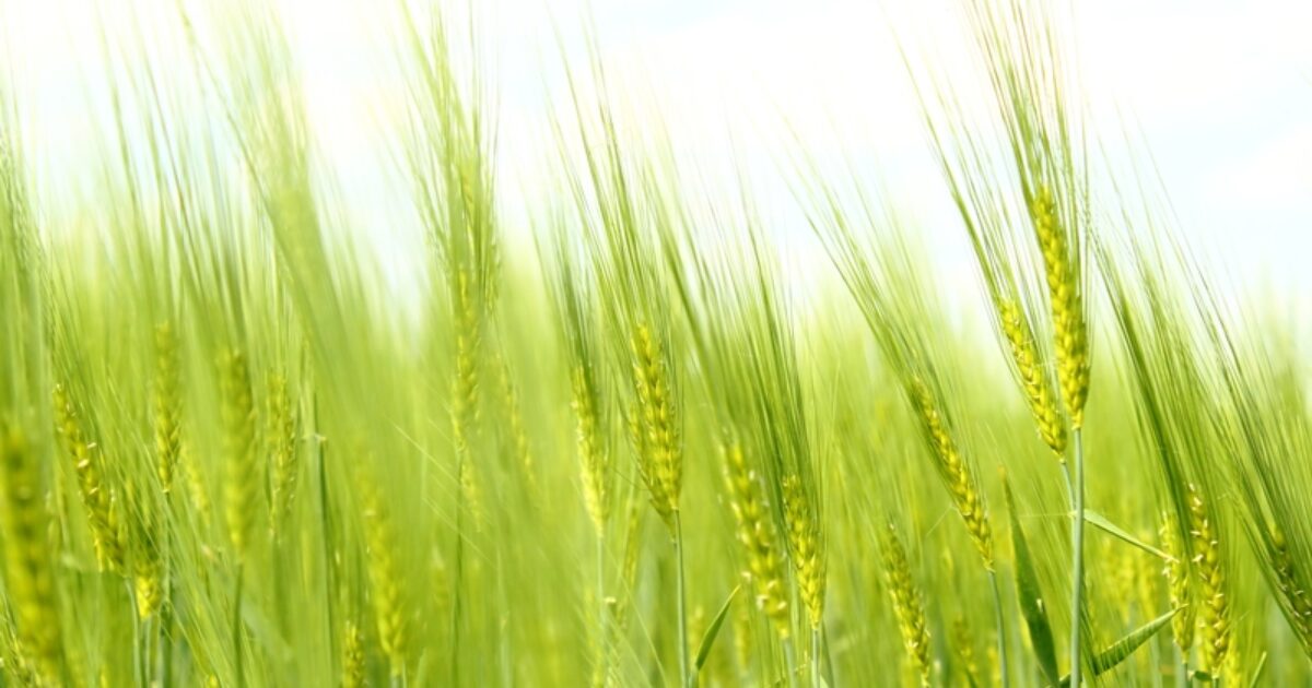 Epilogue — Job’s Prosperity Restored (Job 42:7-17) | Theology of Work