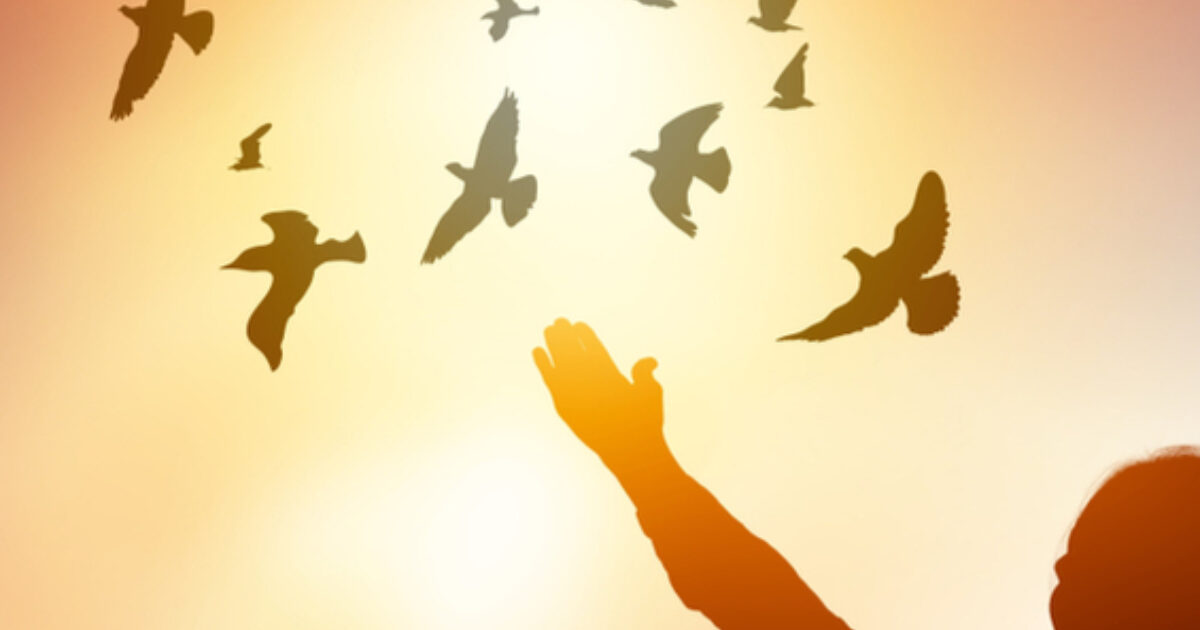 Forgiveness At Work (Devotional) | Theology of Work