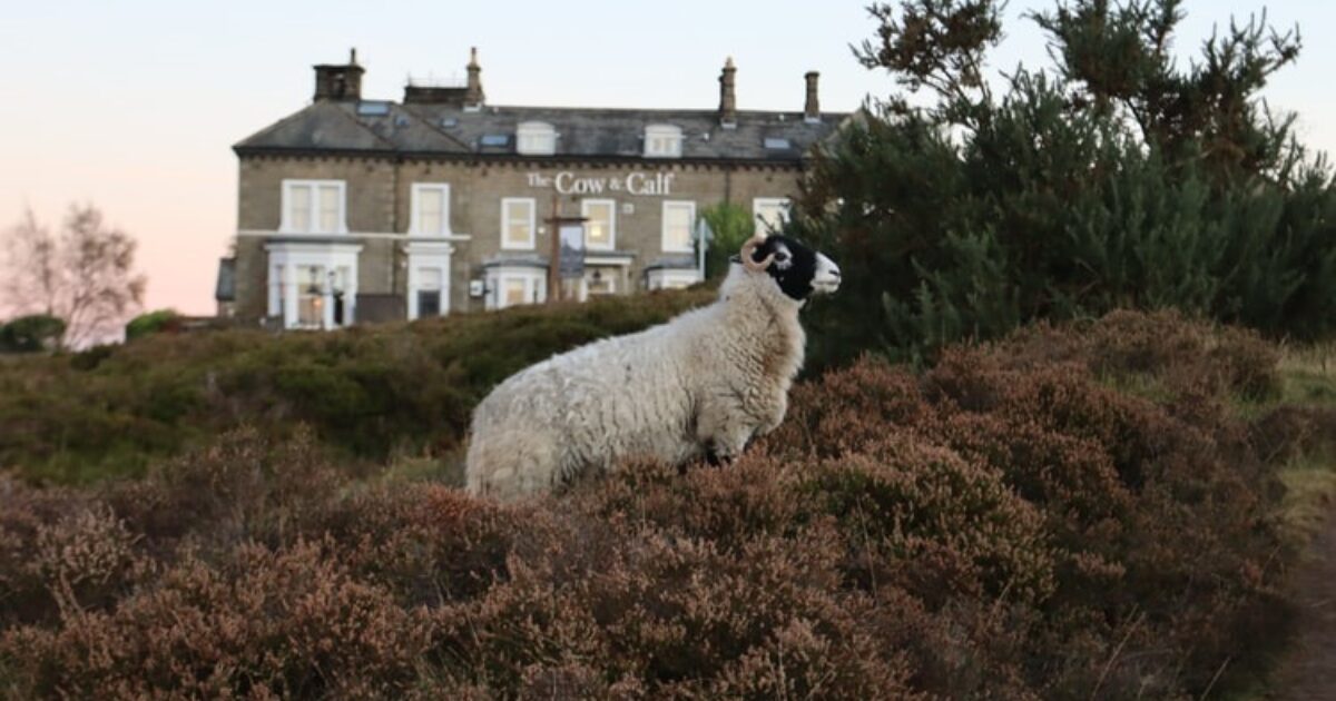 52 Workday Prayers: Psalm 23 - Praying to God the… | Theology of Work