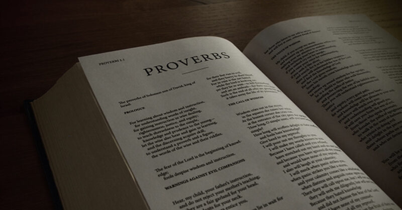 Book Of Proverbs Verses KJV Holy Bible: Pocket New Testament With