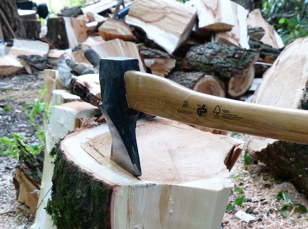 Elisha’s Restoration of a Lumberjack’s Axe (2… | Theology of Work