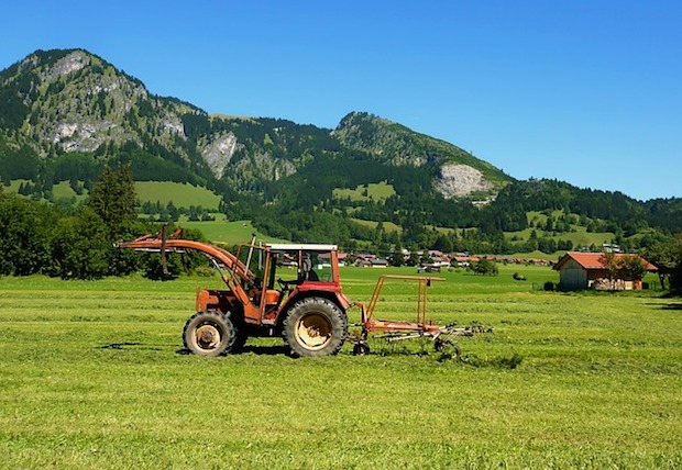 Working the Land (Joshua 5) | Theology of Work