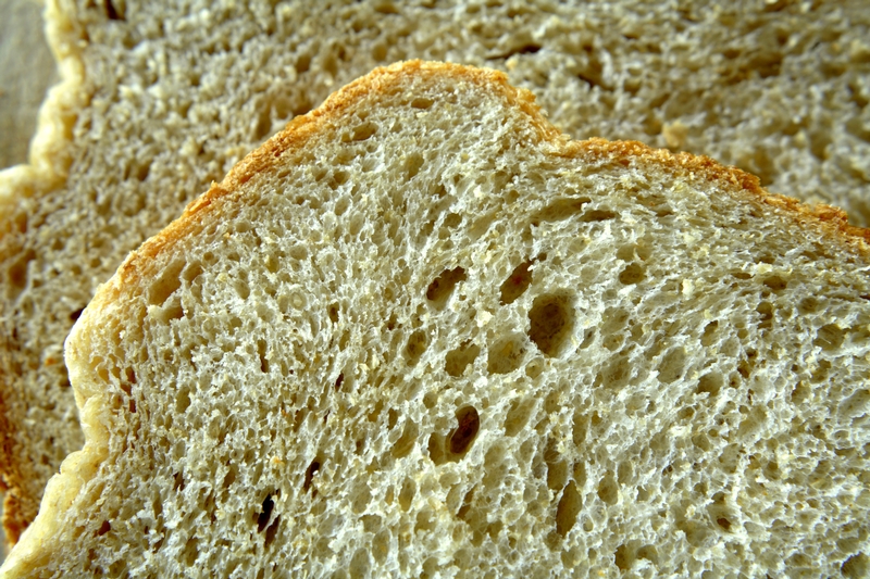 Jesus the Bread of Life (John 6) | Theology of Work