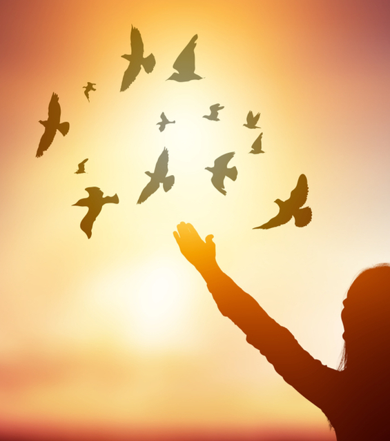 Forgiveness At Work (Devotional) | Theology of Work