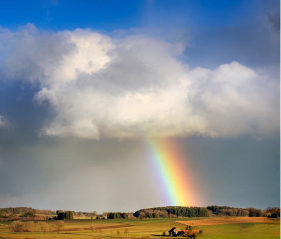 Our Great High Priest (Hebrews 5:1–10:18) | Theology of Work