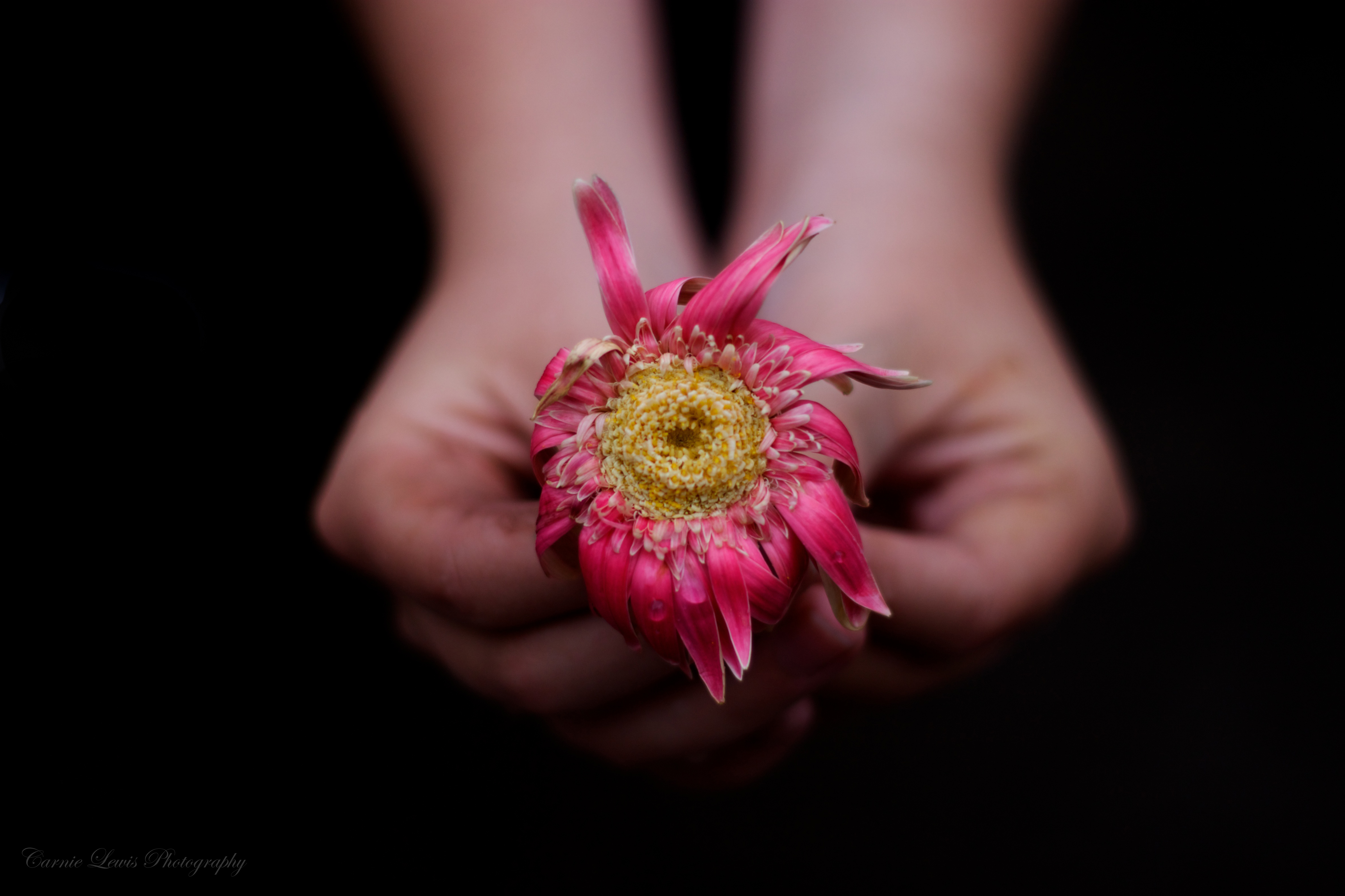 Best of Daily Reflections: The Three Gatekeepers | The High Calling ...