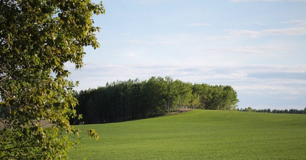 In Just Spring | Theology of Work