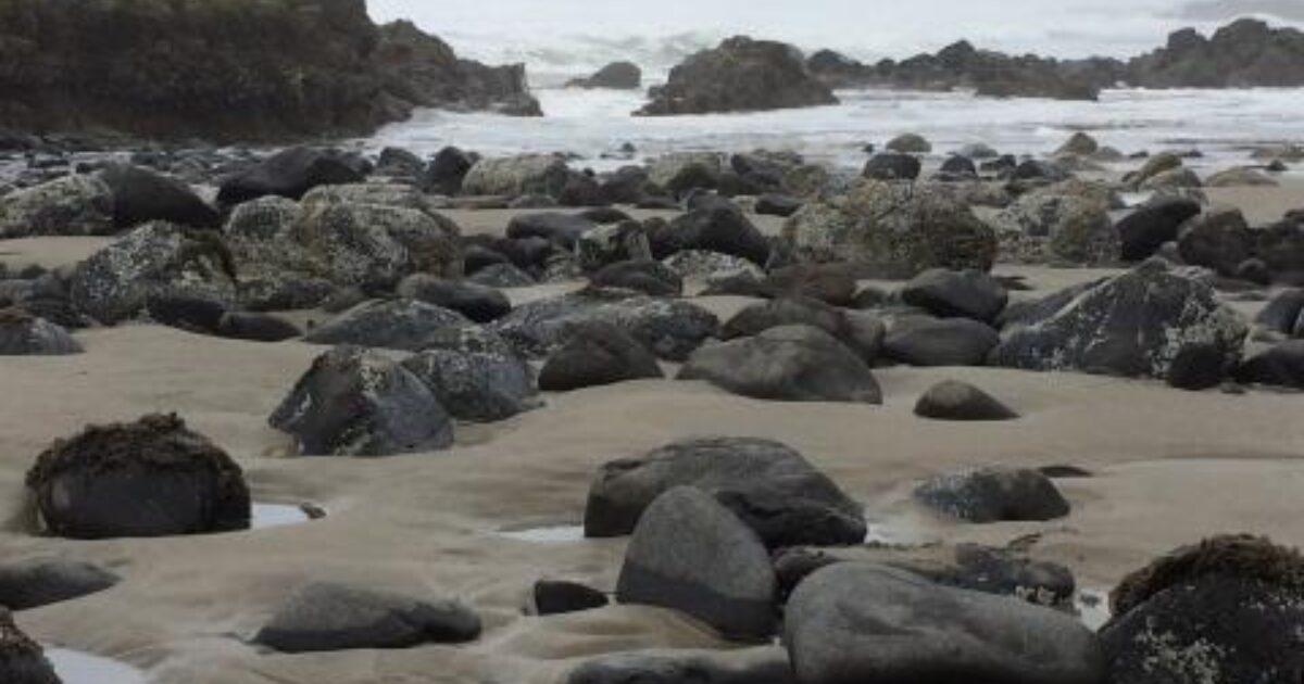 Best of Daily Reflections: Mud, Spit, and a Pile… | Theology of Work