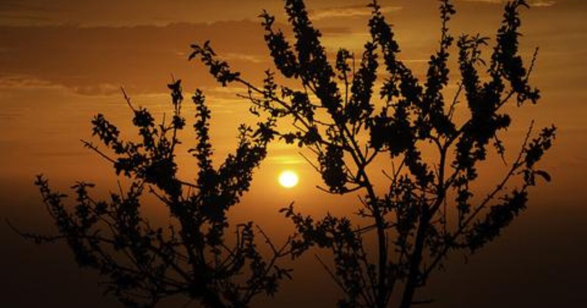 Best of Daily Reflections: How Does God Lift Up the Poor and Needy ...