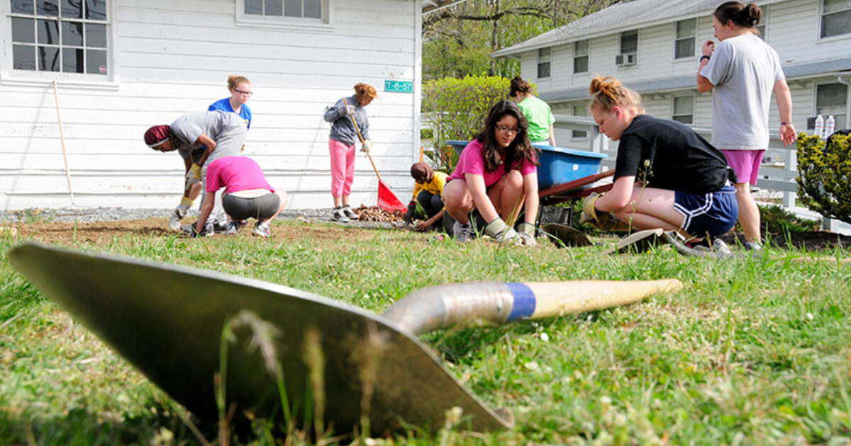 Life-Giving through Gifts-Based Ministry | Theology of Work