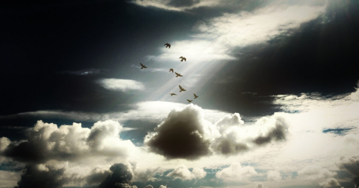 Best of Daily Reflections: Hope for the Formerly… | Theology of Work