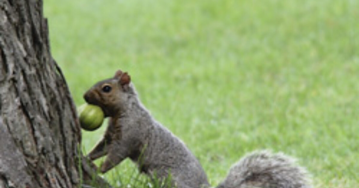 Lending a Hand at Work | Theology of Work