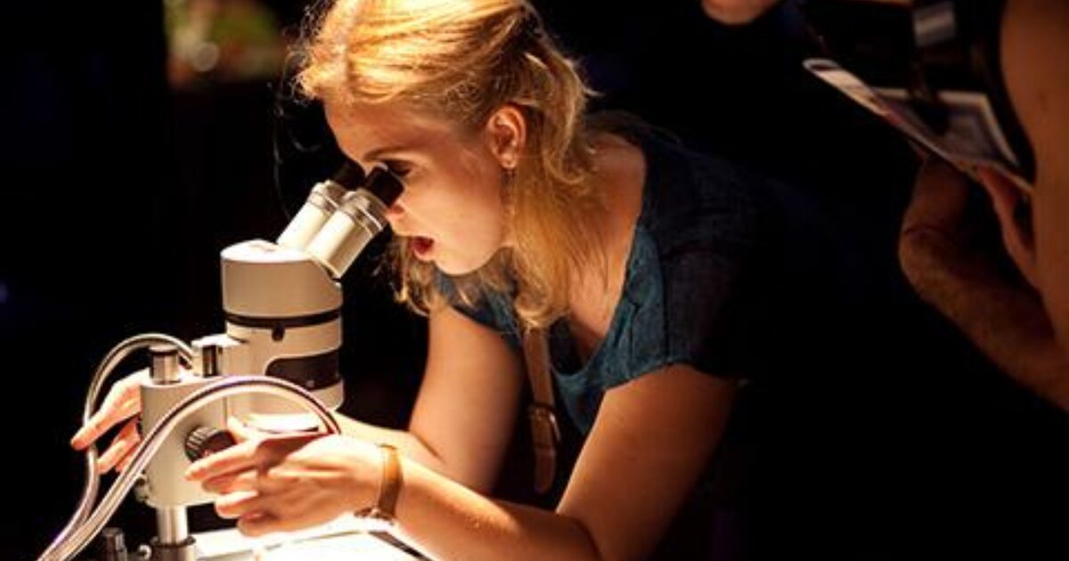 Risk and Reward: Speaking Up | Theology of Work