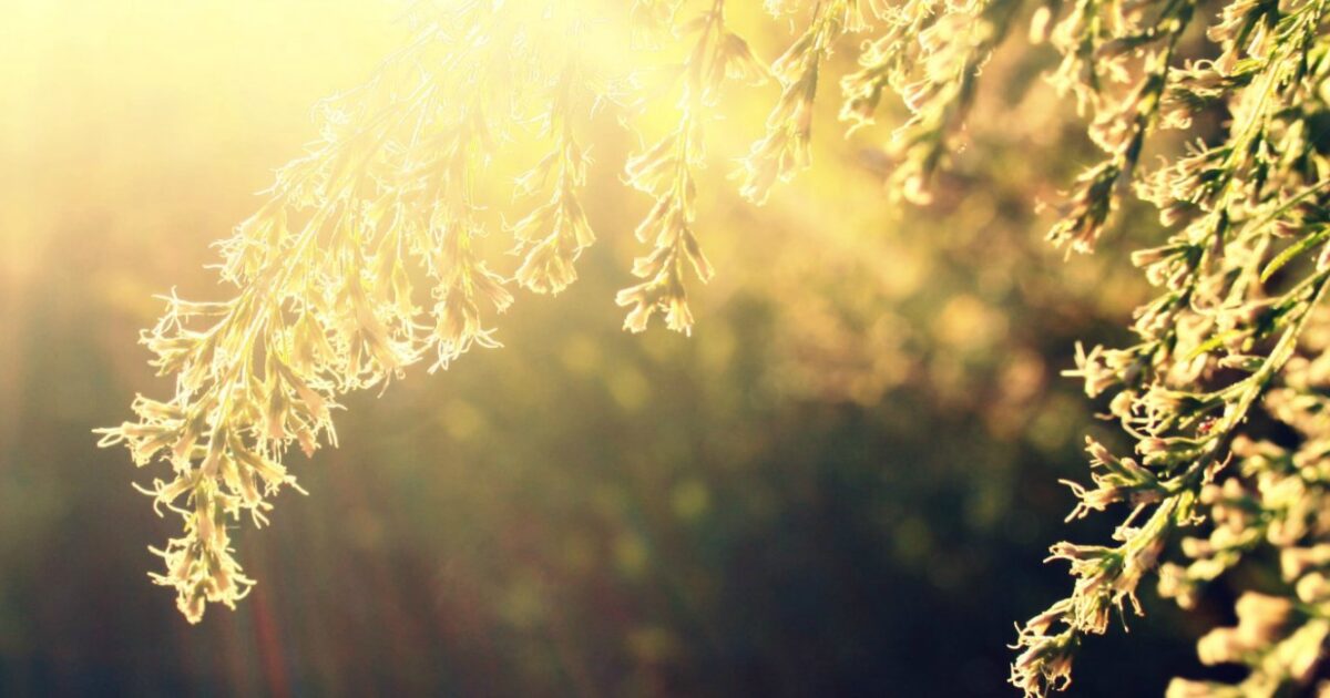 Triptych - Three Poems for Easter | Theology of Work