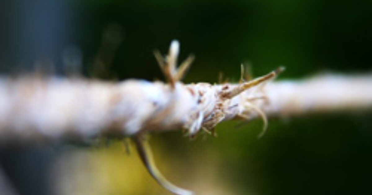 The Career and Family Dichotomy: Part Two | Theology of Work