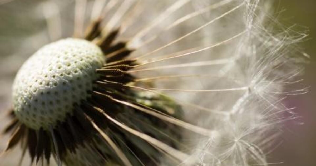 Performance vs. Potential: Highlights from the Week | Theology of Work