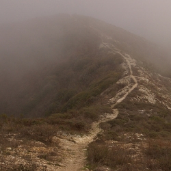 Avoiding the Success Trap | The High Calling | Theology of Work