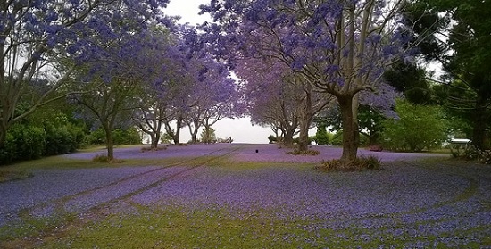 Amazing Grace | Audio | The High Calling