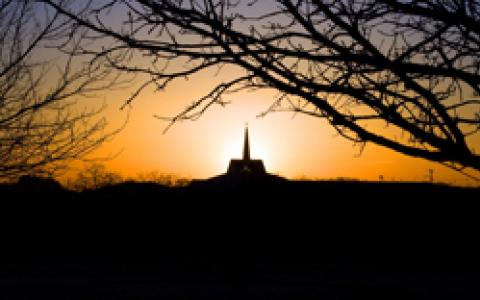 Your Calling Is Our Calling | Daily Reflection | The High Calling